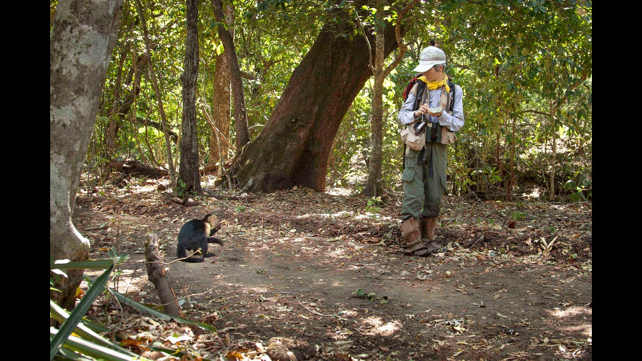 12 incredible UC research breakthroughs in 2022 - UCLA Department of ...